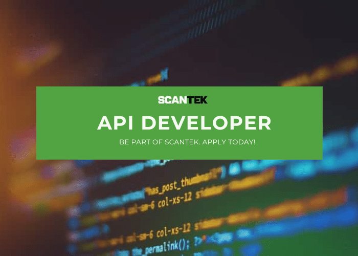 API Developer Job Application